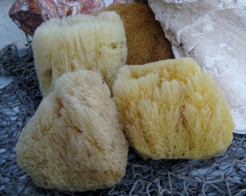 Products - Saint Johns Sponge Company