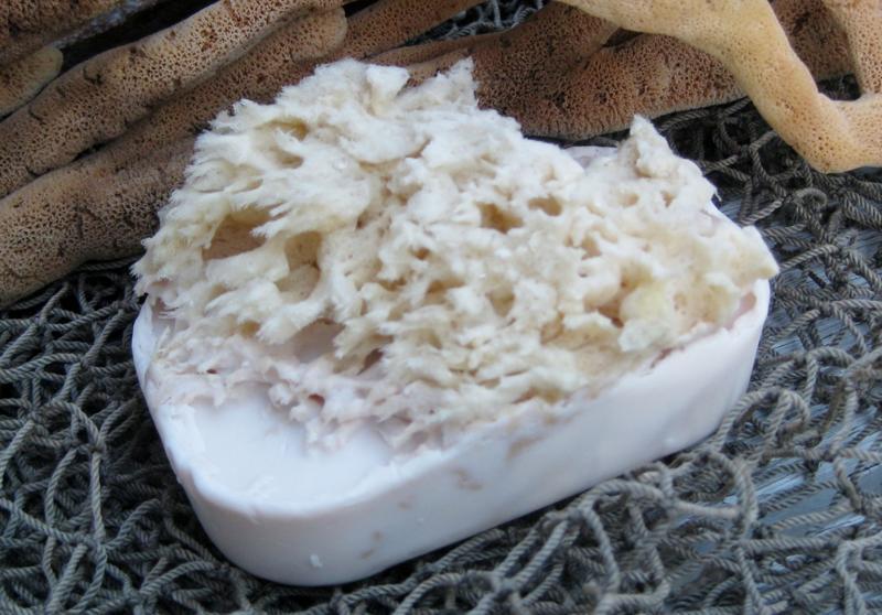 Products - Saint Johns Sponge Company