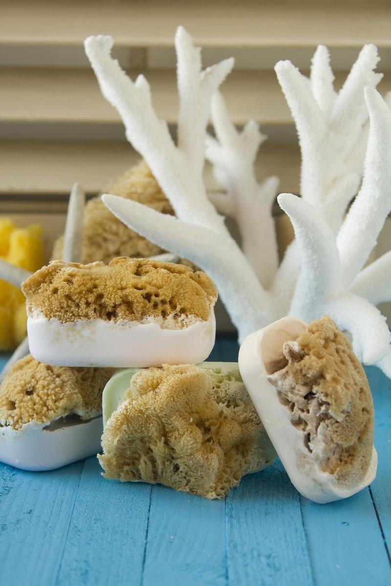 Products - Saint Johns Sponge Company