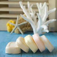 Products - Saint Johns Sponge Company