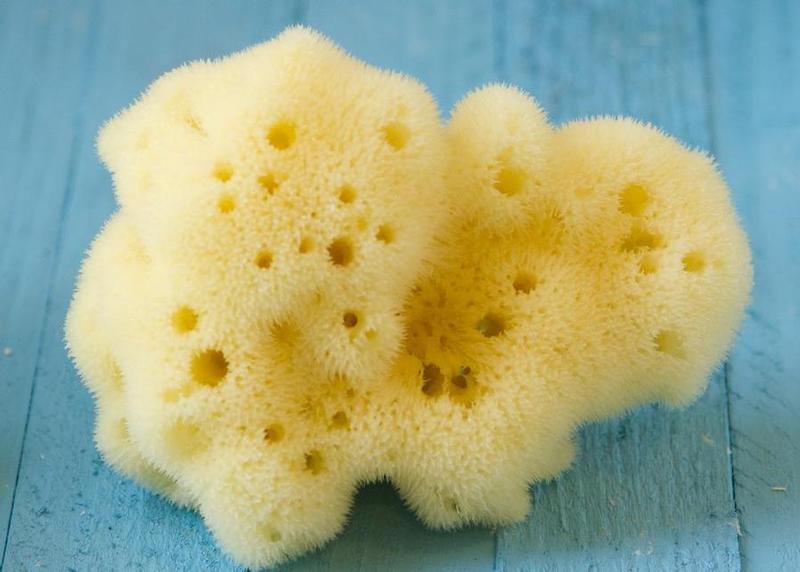 The Silk Sponge - Saint Johns Sponge Company