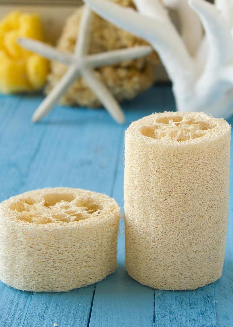 Products - Saint Johns Sponge Company